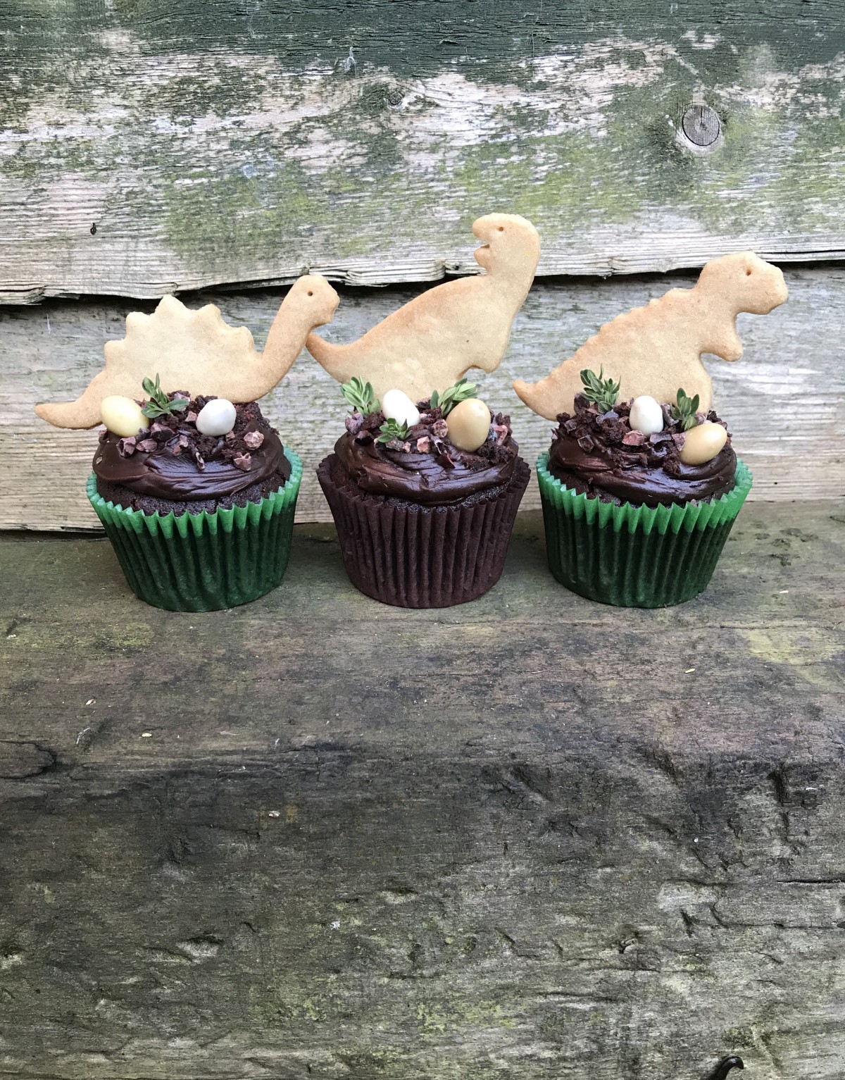 T-REX Cakes | Frances Quinn